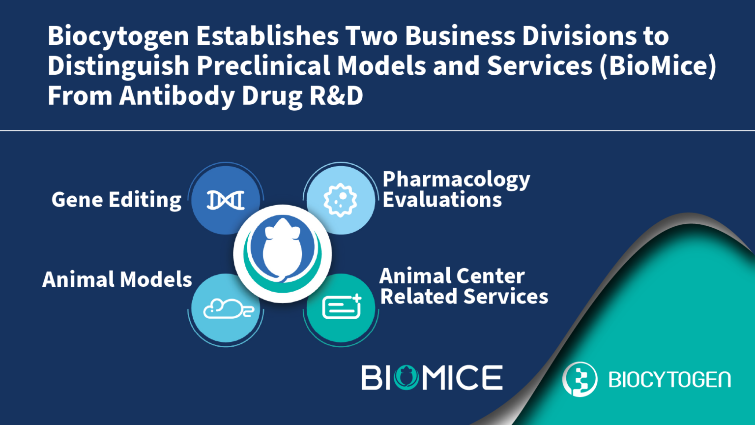 Biocytogen Establishes Two Business Divisions to Distinguish ...